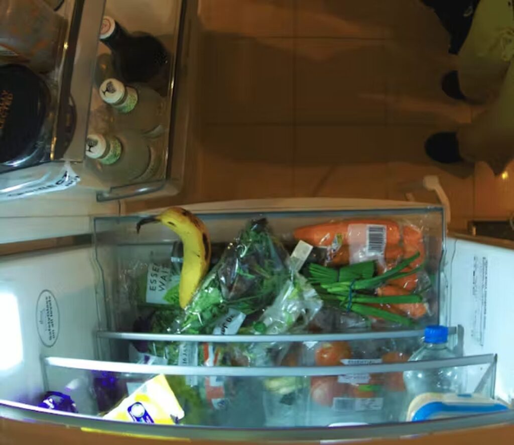 Redditor Builds Raspberry Pi Smart Fridge With Chat GPT4 for Food Detection