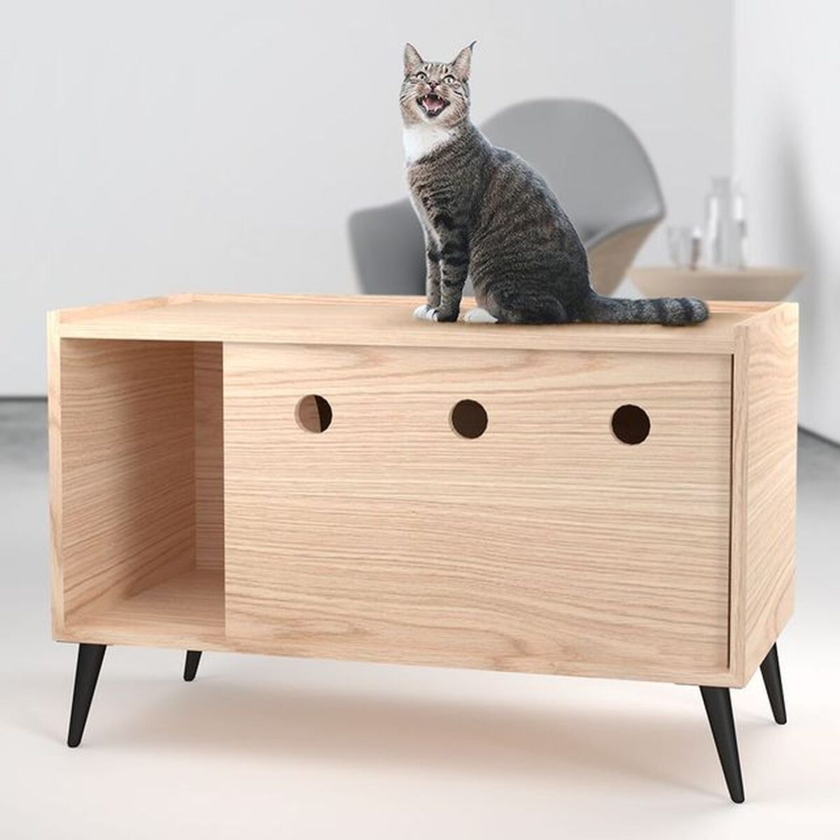 Sandbox With Vintage Trunk Design is a Spill-Proof Cat Litter Box