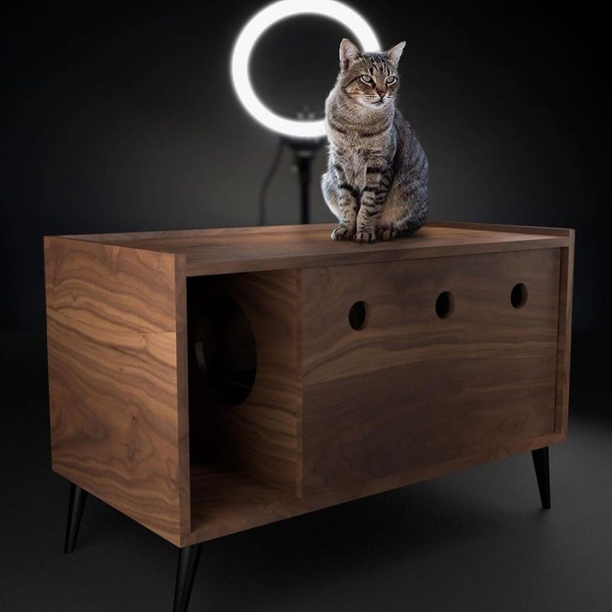 Sandbox With Vintage Trunk Design is a Spill-Proof Cat Litter Box