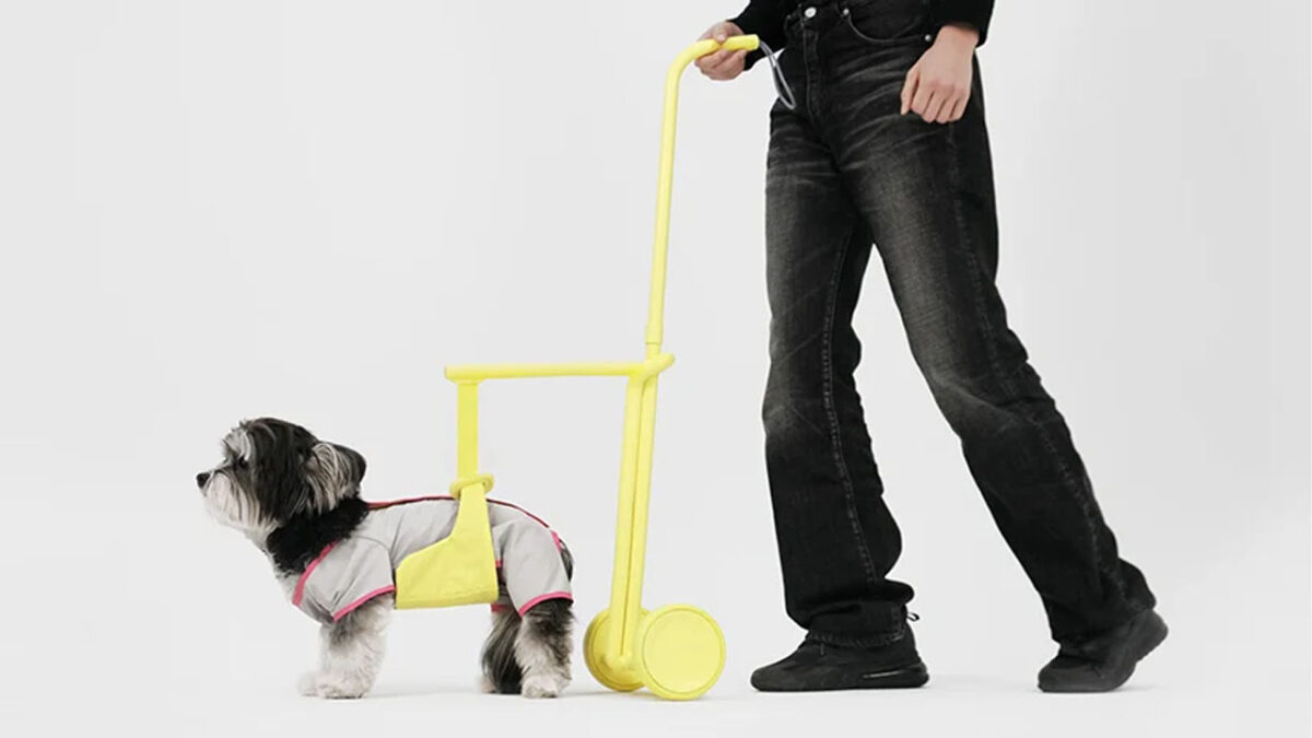 Seatbelt-Inspired Steady Dog Walking Aid is Boon for Elderly Dogs