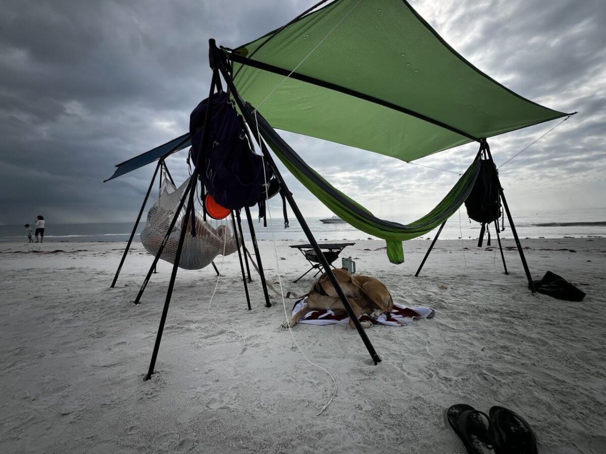 Turtlebug Hammock Stand Takes Only One Minute to Set-up