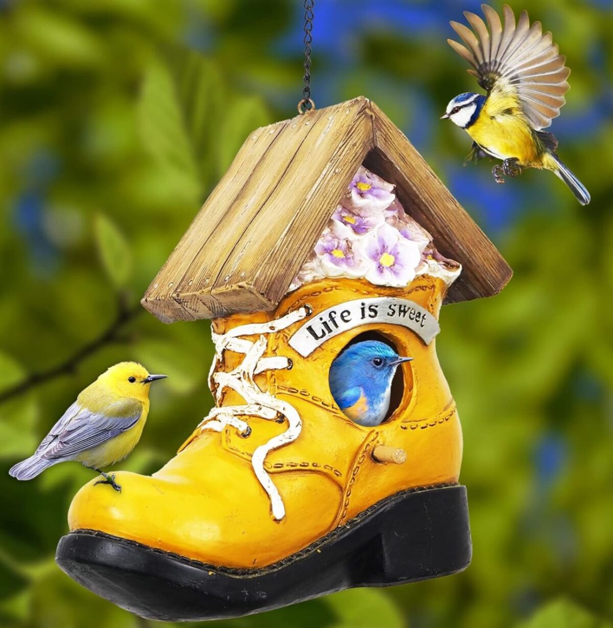 Best Birdhouses on Amazon for Feathered Friends