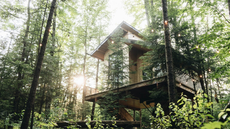 Treehouses: Stunning Designs Perched High in Nature