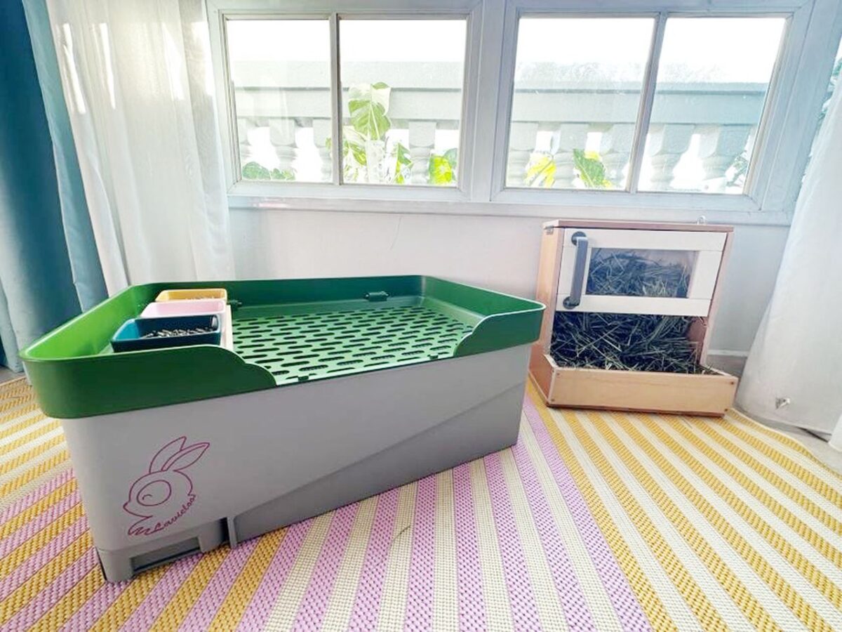 Lavieloo Bunny Litter Box Made of Recycled Plastic Minimizes Mess