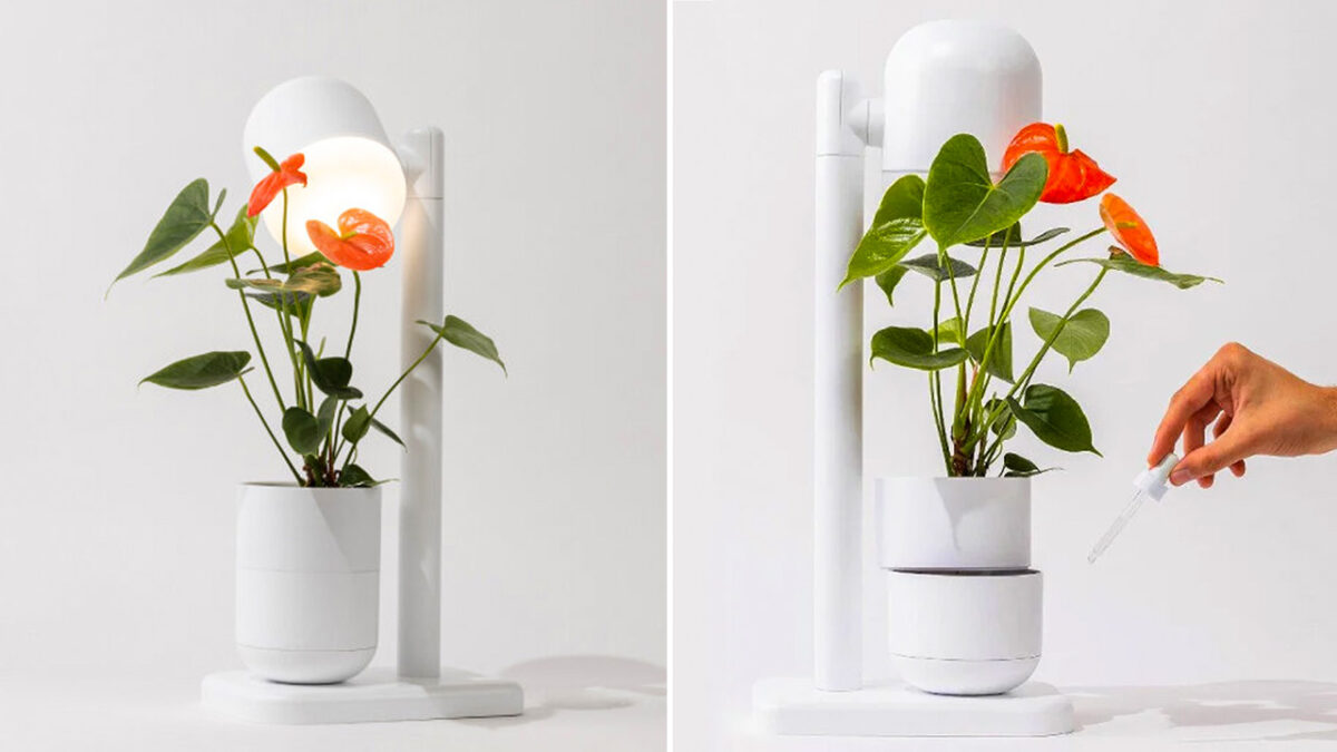 Self-Watering Grow Lamp Brightens Dim Spaces, Nourishes Plants