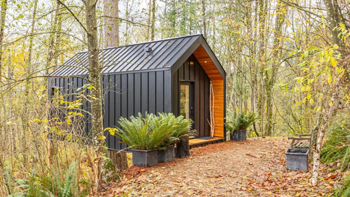 Tiny Swedish Treehouse Protrudes From Hillside to Stand on Wood Beams