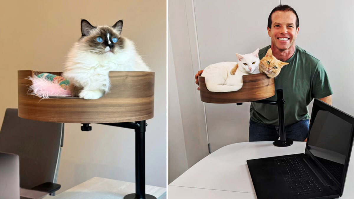 Desk Nest Cat Bed Keeps Your Feline Close to Workspace