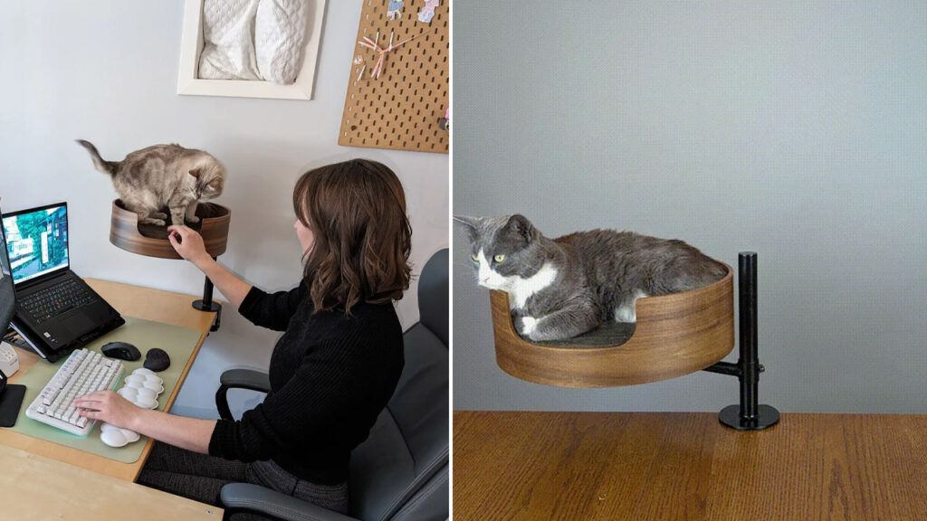 Desk Nest Cat Bed Keeps Your Feline Close to Workspace