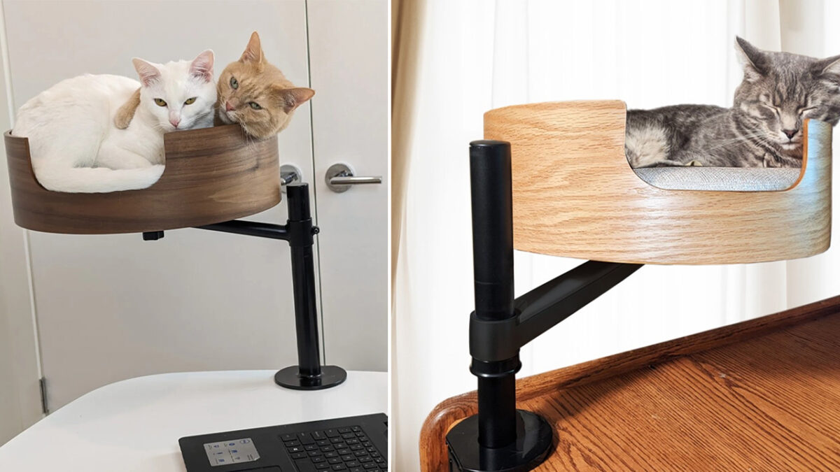 Desk Nest Cat Bed Keeps Your Feline Close to Workspace