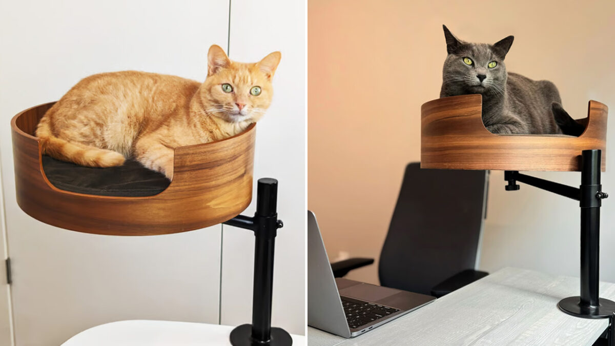 Desk Nest Cat Bed Keeps Your Feline Close to Workspace