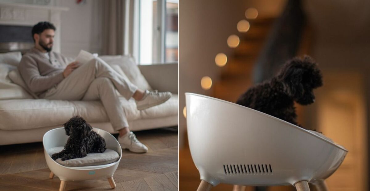 Cudii Smart Dog Bed Revolutionizes Future With Smart Controls