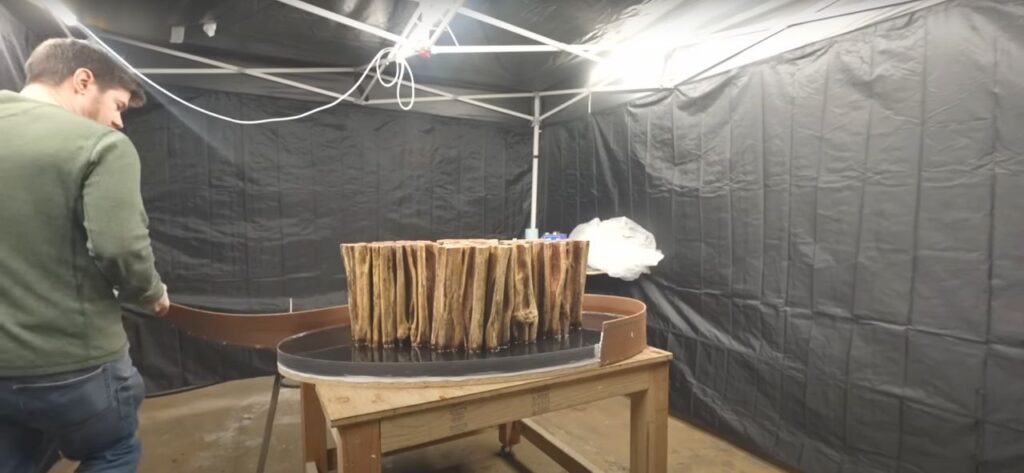 Swamp Wood Epoxy Table Sports Unique Mangrove Root Profile