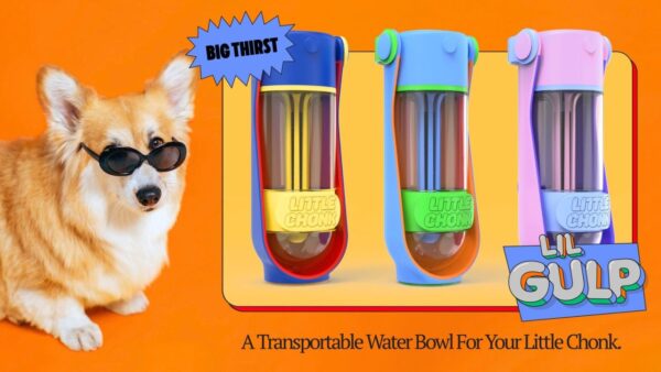 Lil Gulp Dog Water Bottle is Your Pal's Hydration System on the Go