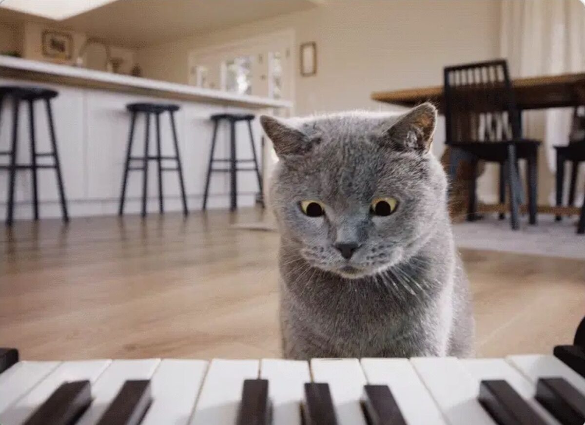 Pet Piano is Musical Pet Feeder That Turns Your Cat Into Meowzart