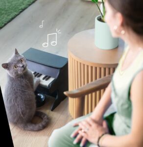 Pet Piano is Musical Pet Feeder That Turns Your Cat Into Meowzart