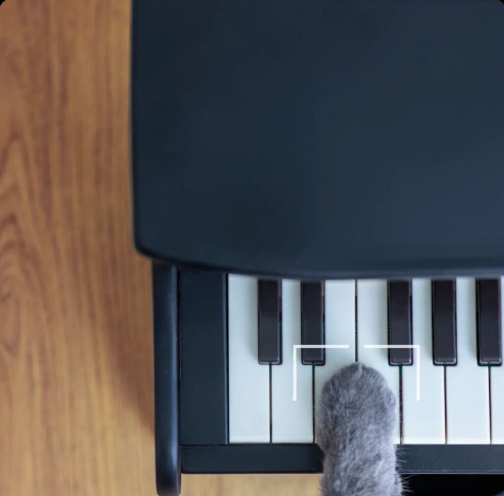Pet Piano is Musical Pet Feeder That Turns Your Cat Into Meowzart