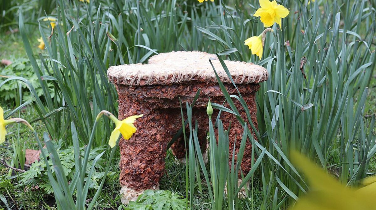Blooming Decay Stool Biodegrades to Bloom Into Wildflowers
