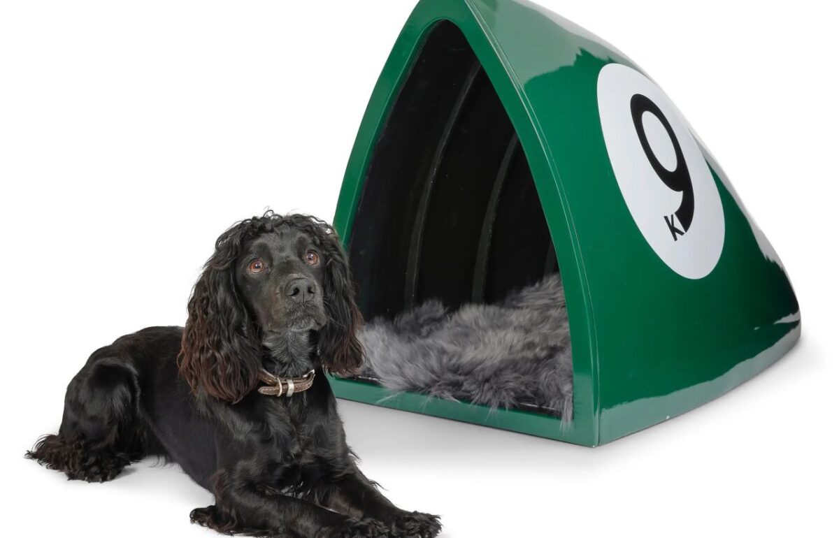 Headrush Kennel is Fashioned From Air Intake of Vintage Racing Car
