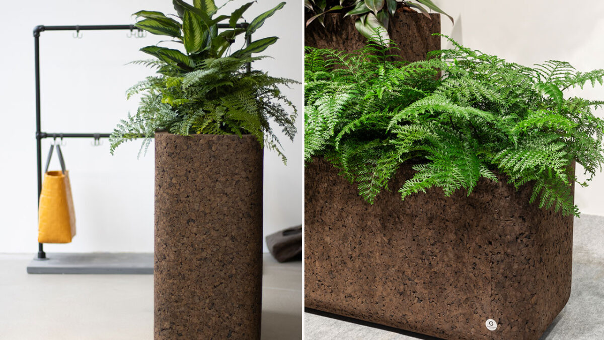 Terra Planter for Office Setups is Made From Expanded Cork