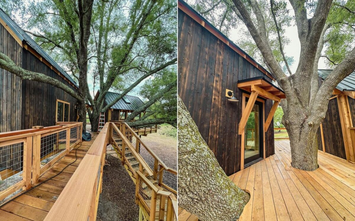 Three-Pod Treehouse an Expansive Layout With Artistry