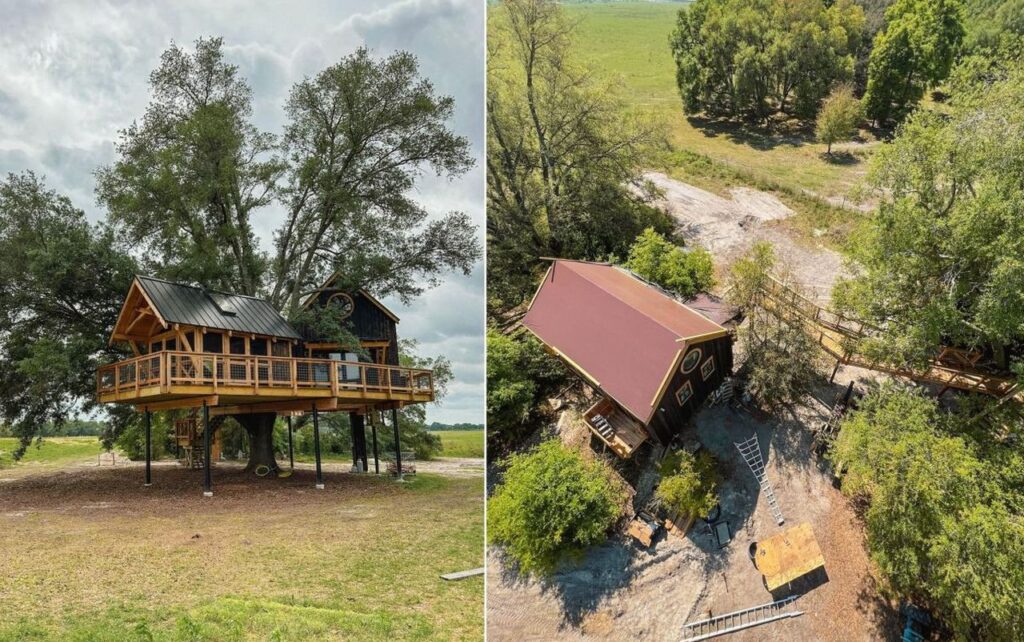 Three-Pod Treehouse an Expansive Layout With Artistry