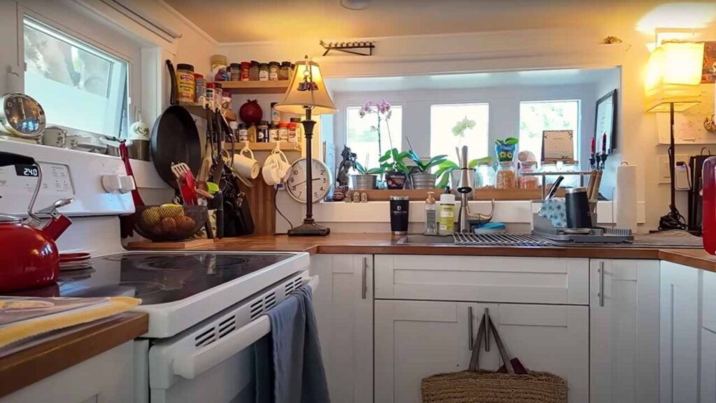 Empty Nester Builds Anipo Tiny House for Herself With Library