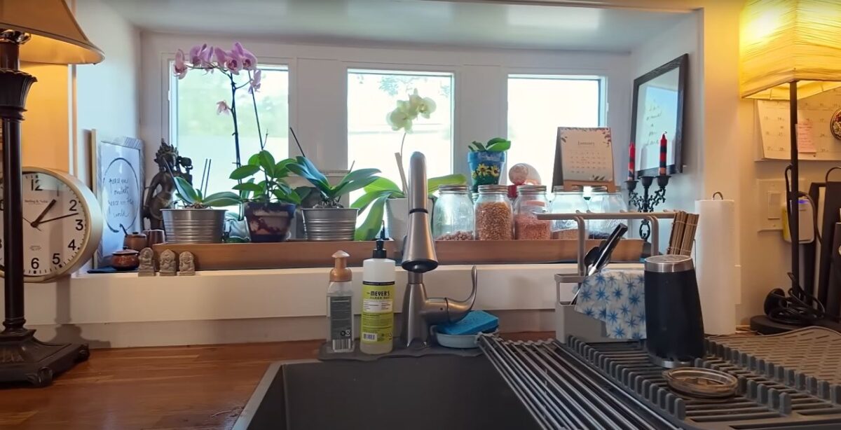 Empty Nester Builds Anipo Tiny House for Herself With Library