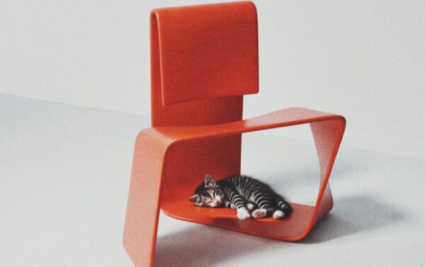 Ed Chair Doubles as Perfect Snuggle Spot for Your Cat
