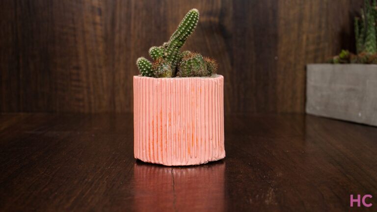 How to Make a Ribbed Concrete Planter for Tabletop Décor?
