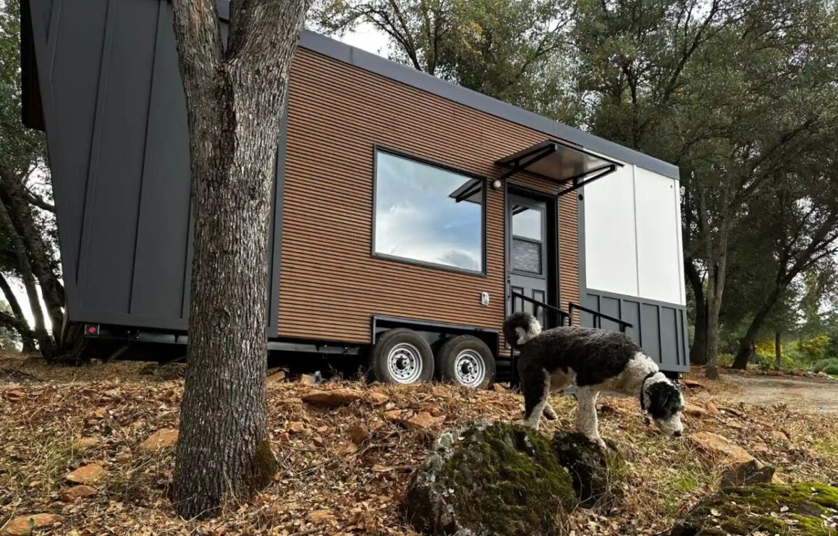 Studio-Style Clever S Tiny House has Transformable Living Room