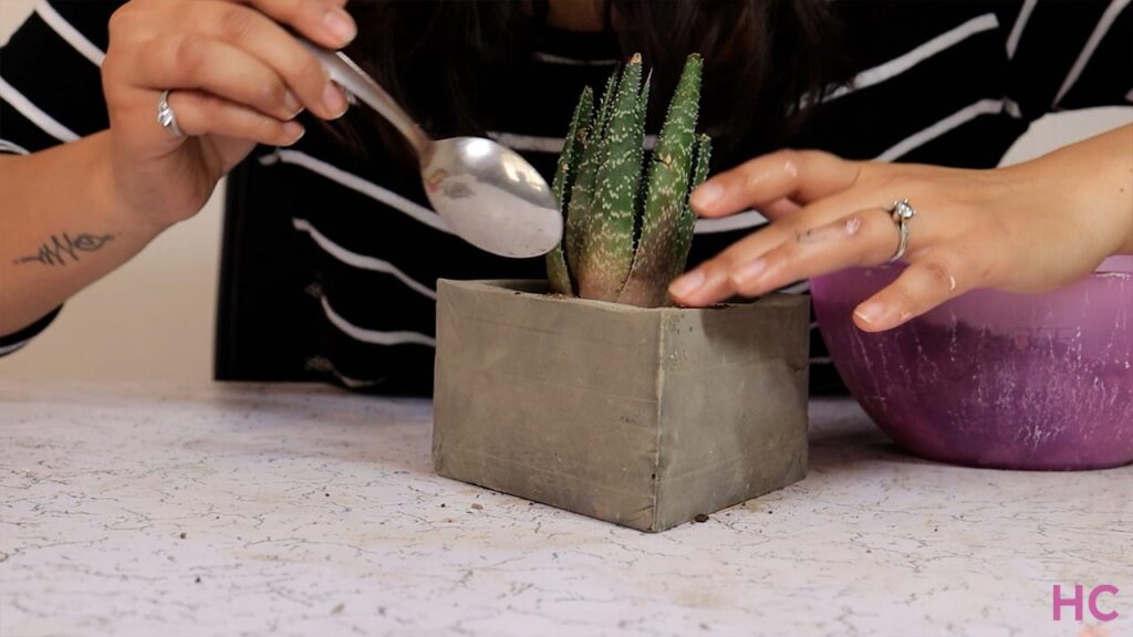 How to Make Triangular Concrete Planter for Under $5