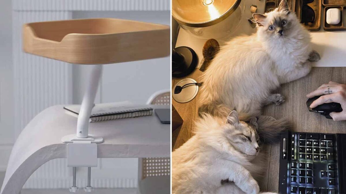 Ergo Purrch Desk-Mounted Cat Bed Keeps Kitty off Your Keyboard