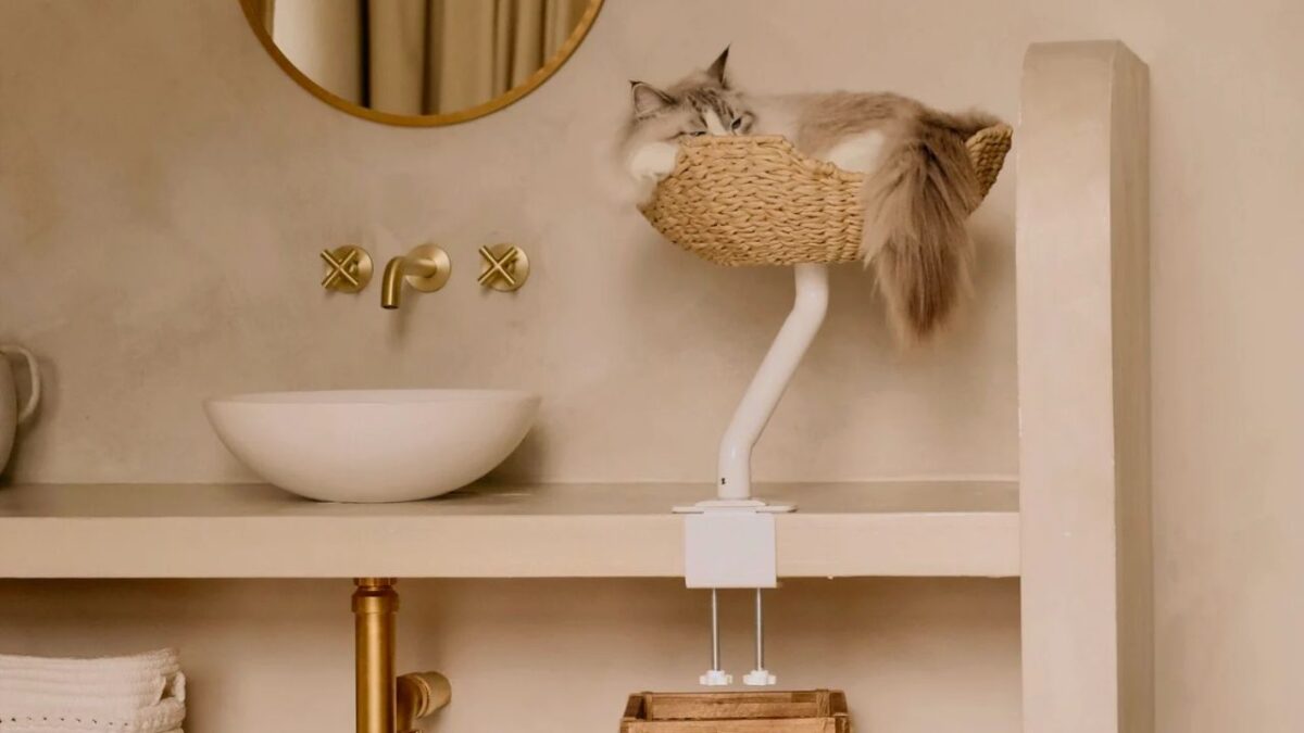 Ergo Purrch Desk-Mounted Cat Bed Keeps Kitty off Your Keyboard