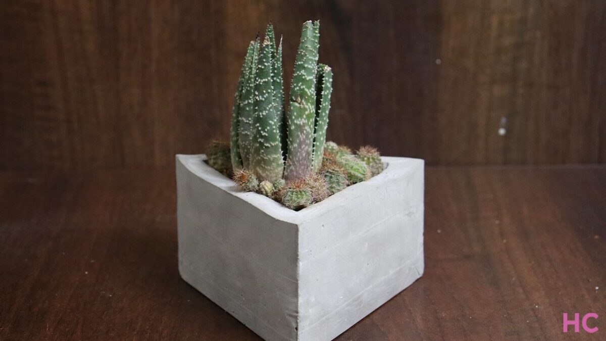 How to Make Triangular Concrete Planter for Under $5