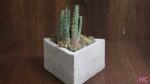 How to Make Triangular Concrete Planter for Under $5