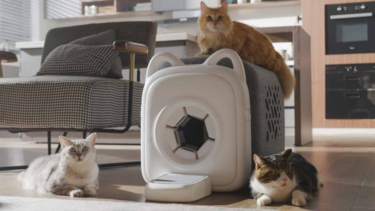 This Automatic Cat Groomer Keeps Her Tidy and Well-Fed