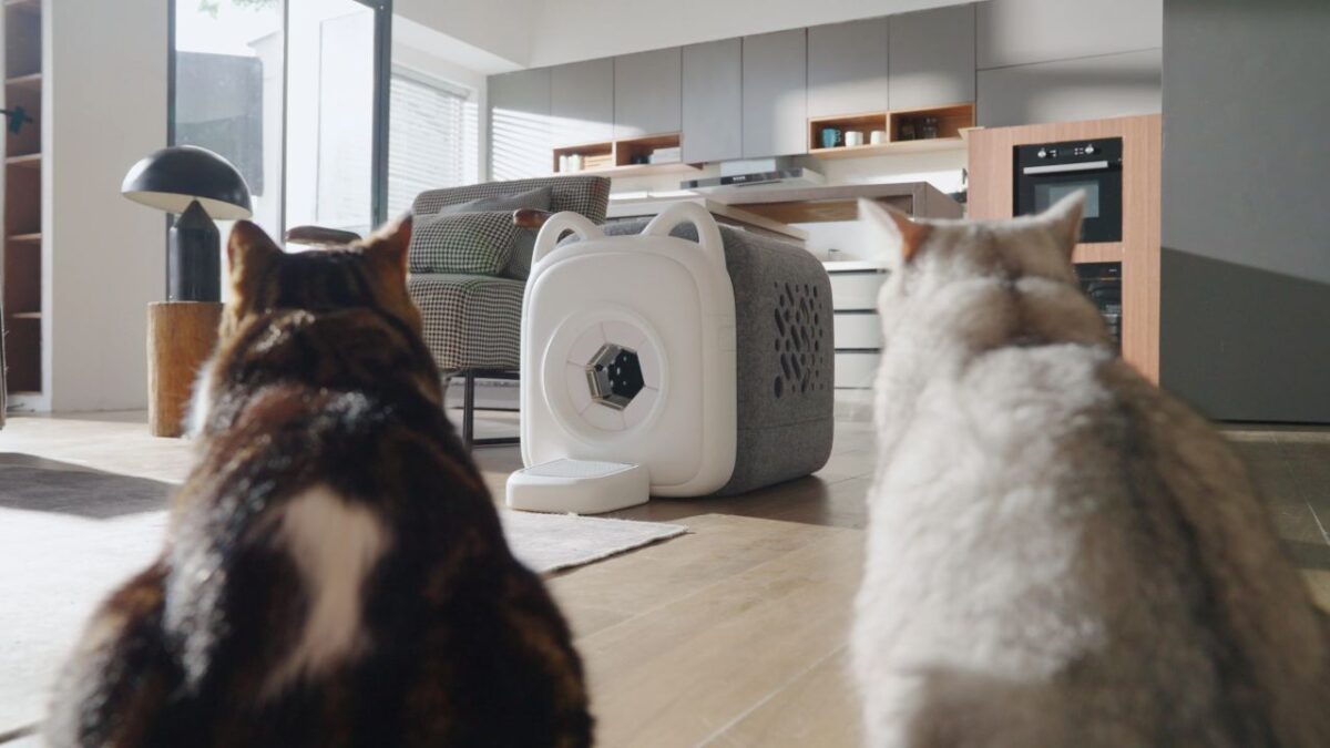 This Automatic Cat Groomer Keeps Her Tidy and Well-Fed