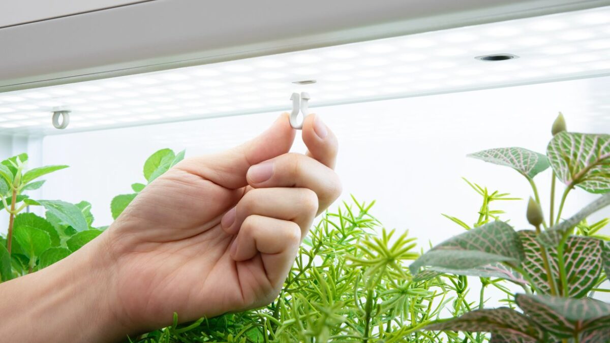 Balcony Farm is Smart Indoor Garden That Installs on Window