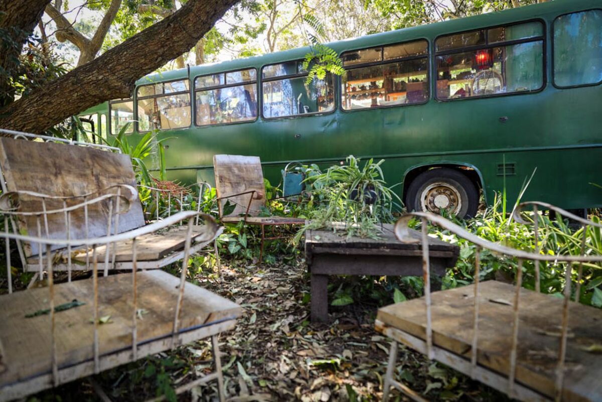 Artist Turns Mercedes Bus Into Enchanting Home on Wheels