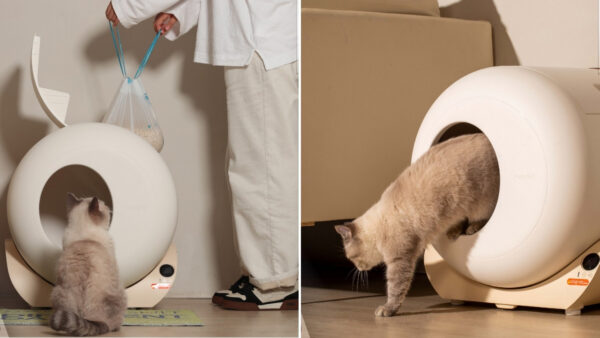 Furrytail Cat Litter box Cleans Automatically to Promise Hygiene