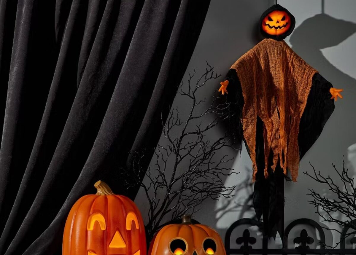 Target 2024 Halloween Collection has Dropped
