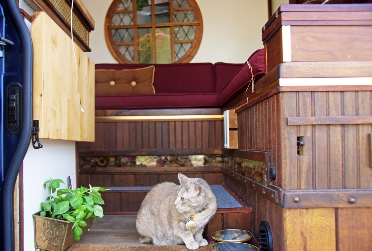Hobbit Camper Van has Murphy bed and Medieval Shower