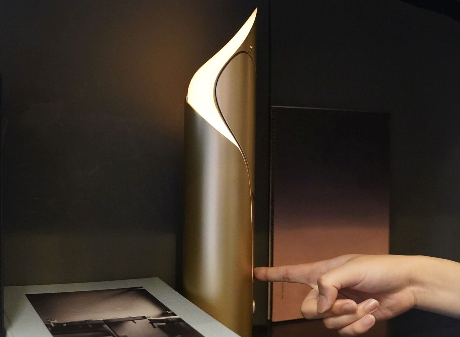 Shape-Shifting Magpie Table Lamp has a Transparent shade