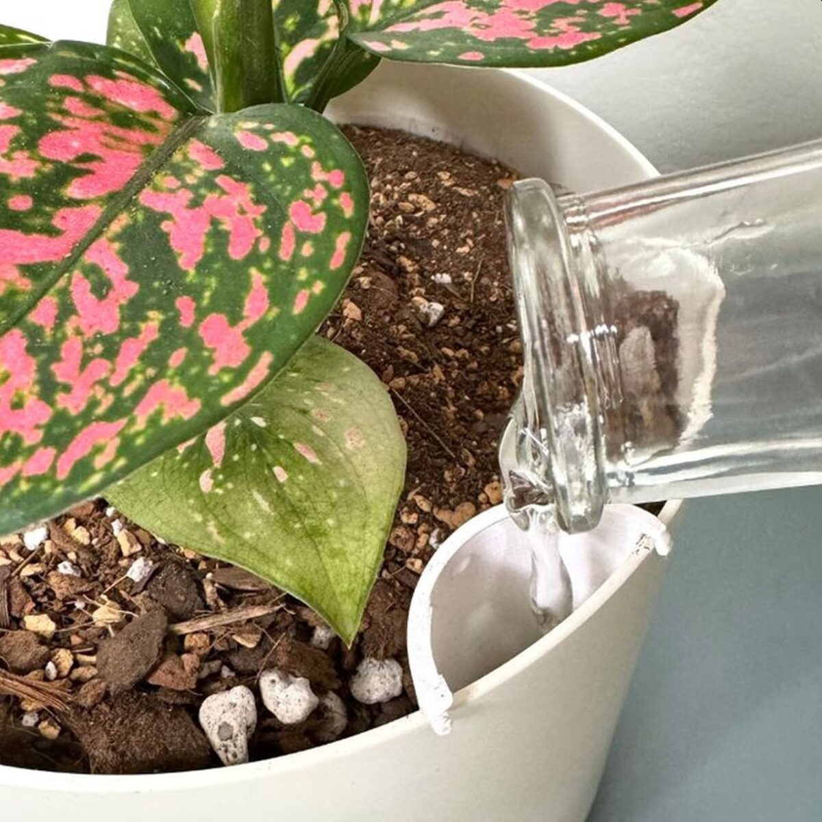 Recyclable Drain Drawer Pot Keeps Your Plants From Drowning