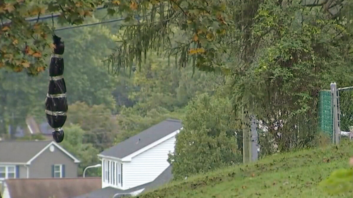 Man Hangs Body From a Tree, Halloween Display Goes Wrong