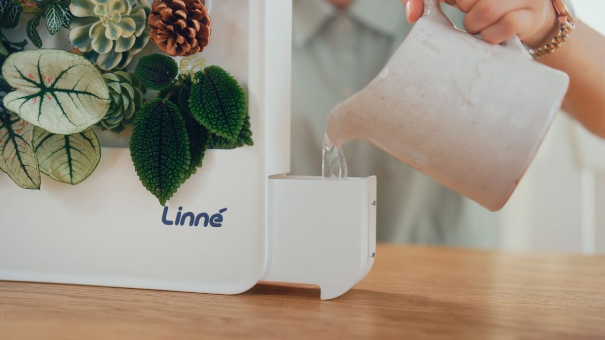Vertical Linne Garden is Self-Watering Hydroponic Planter