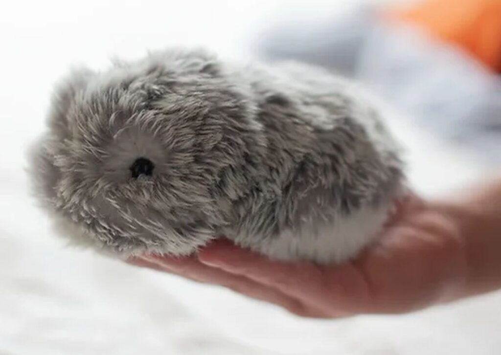 Moflin Envisions Newborn Animal Existence With AI-Powered Pet