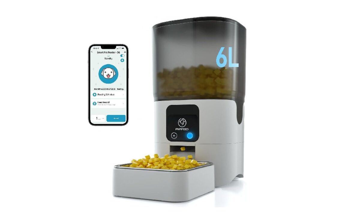 Best Automatic Pet Feeders 2024: Keep Your Pet Happily Fed