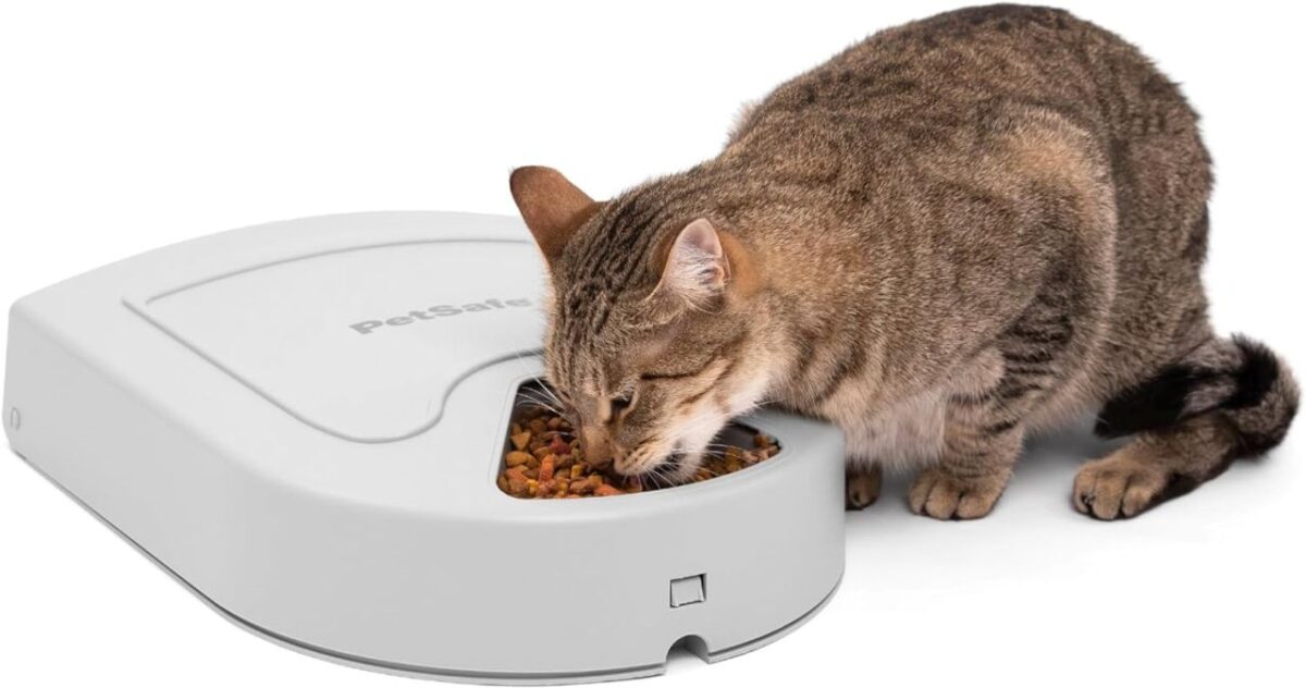 Best Automatic Pet Feeders 2024: Keep Your Pet Happily Fed