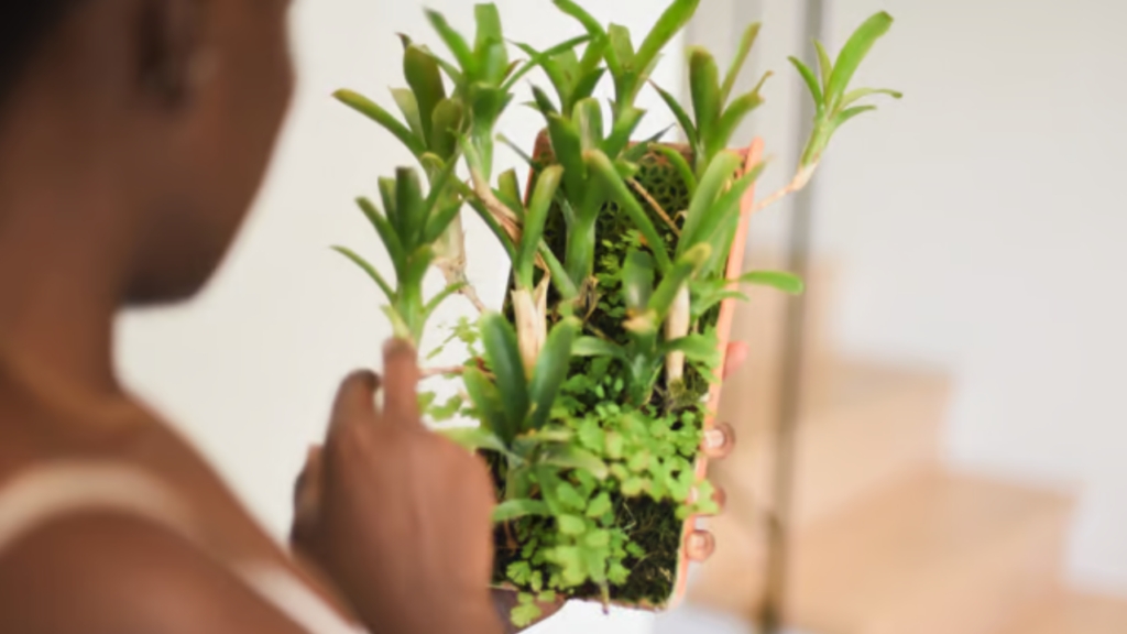 Self-Watering Tevaplanter Tile for Plants Inspired by Nature